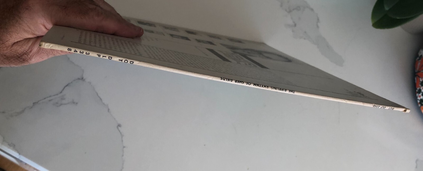 HARD FIND! 1960 The Rippling Rhythm of Shep Fields. / DOT 3348 / Jazz ...