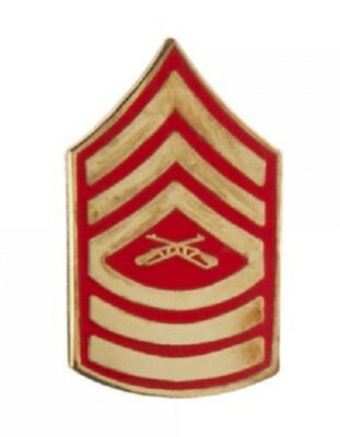 MILITARY HAT LAPEL PIN - MARINES SGT MASTER SERGEANT PIN - NEW | eBay