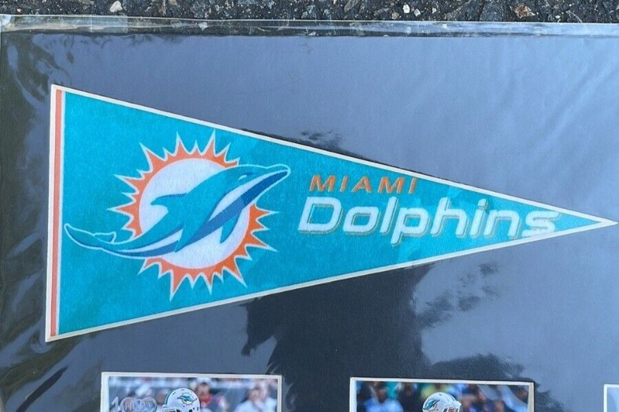 Miami Dolphins Mini Pennant Flag & 3 Player Cards - BRAND NEW | eBay UK