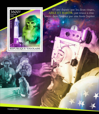 Space Monkeys Able and Baker Launched into Space MNH Stamps 2024 Togo S ...