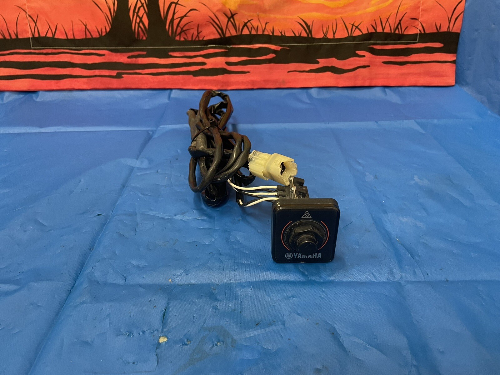 Yamaha Outboard Kill Switch Panel Assembly Fits: Helm Master P#6X6 ...