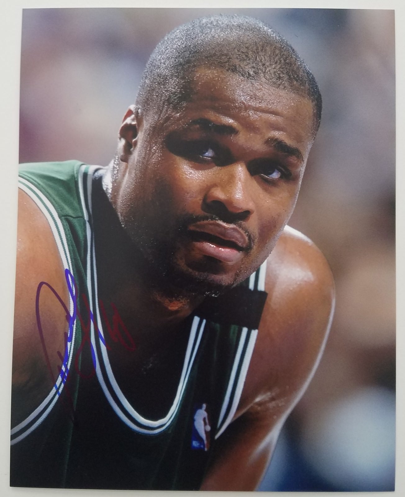 Antoine Walker Signed 8x10 Photo Boston Celtics Heat Hawks NBA ...