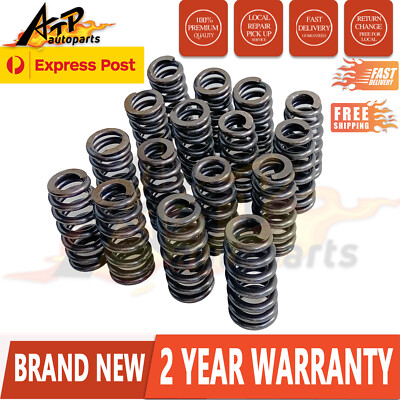 Valve Springs Ovate Beehive Series LS1 LS2 L98 LS3 V8 VT VX VY EXPRESS ...