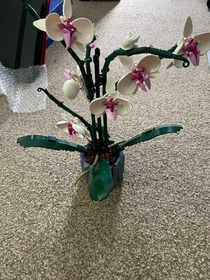 LEGO Botanicals: Orchid (10311) 5702017224336 | eBay UK