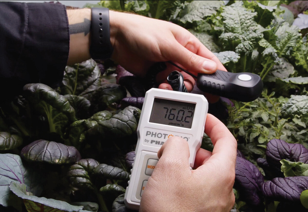 Phantom PHOTOBIO Advanced Quantum PAR Meter 638104027069 | eBay