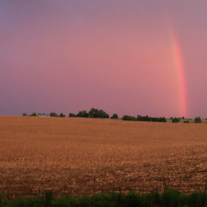 Jensgems with Raining Shamrocks | eBay Stores