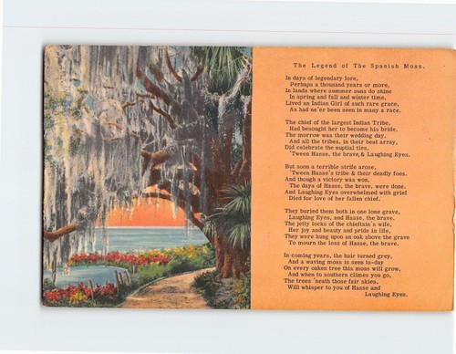 Postcard ‘The Legend of the Spanish Moss’ with Artistic Illustration ...