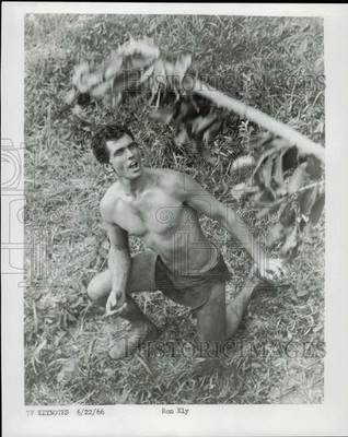 1966 Press Photo Actor Ron Ely starring as "Tarzan" - lry31989 | eBay