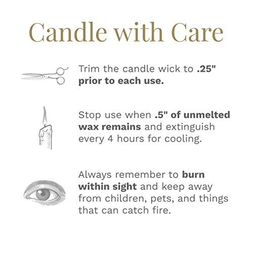 CLCo. by Candle-Lite Company Scented Candles Coconut Noir Fragrance One ...