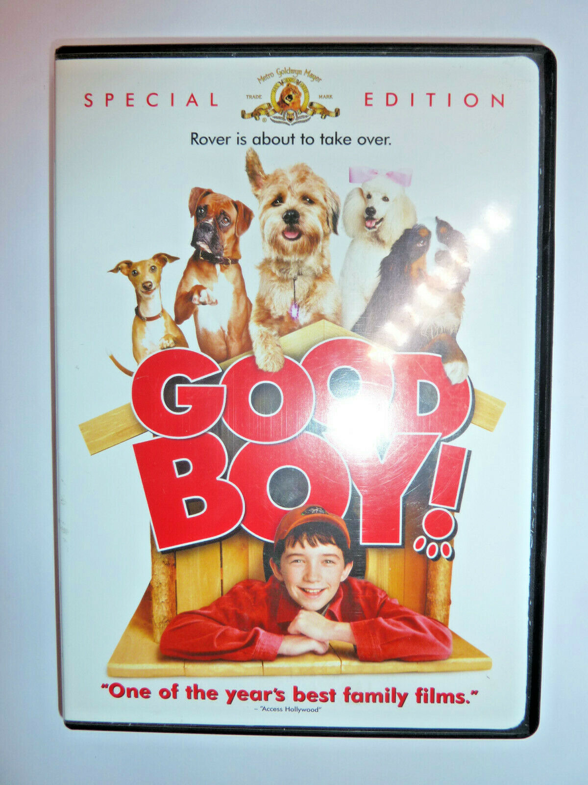 Good Boy Movie Dogs