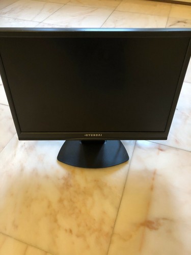 Hyundai X93W 19-22.9 in LCD Monitor | 1400 x 900 | 1000:1 | 300 cd/m¬≤ ...