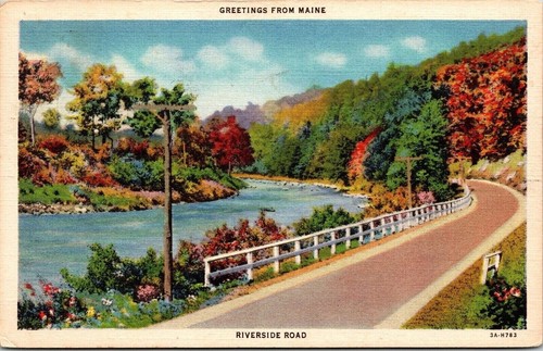 Greetings From Maine Riverside Road Autumn Fall Postcard | eBay