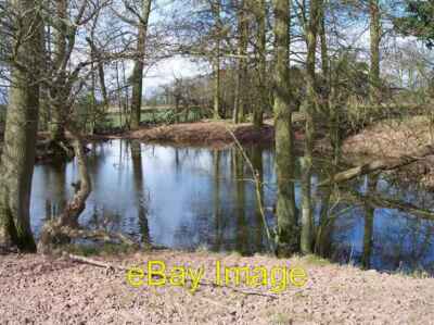 Photo 6x4 Pond, Docklow By the path heading south from Docklow Church ...