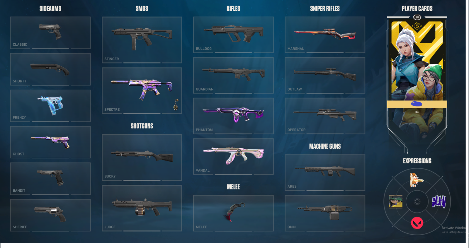 Valorant account (full access) | eBay UK