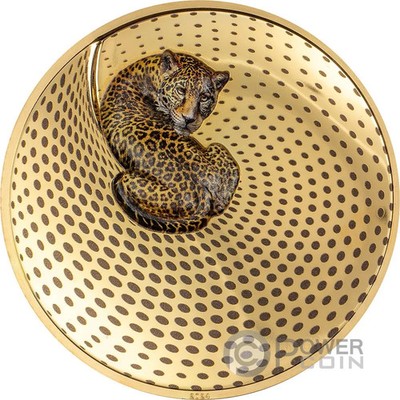 LEOPARD Camouflage of Nature Gilded 5 Oz Silber Münze 20$ Palau 2024 ...