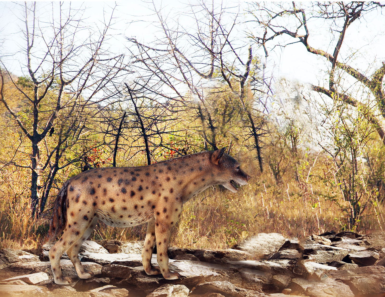 Large Hyena Statue - Life Size Hyena Statue - Hyena Sculpture | eBay