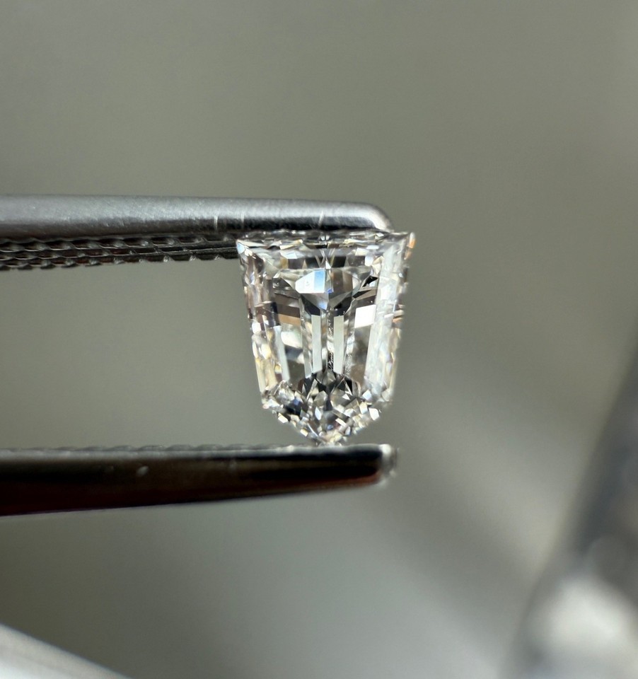 Loose Natural Untreated Earth Mine Diamond Bullet 0.26 F VVS2 Unique ...