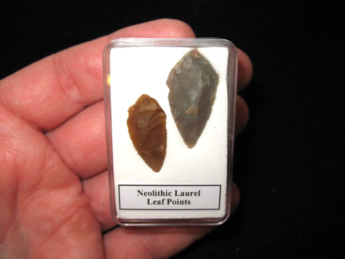 Neolithic stone age tool arrow head LAUREL LEAF points in display case ...