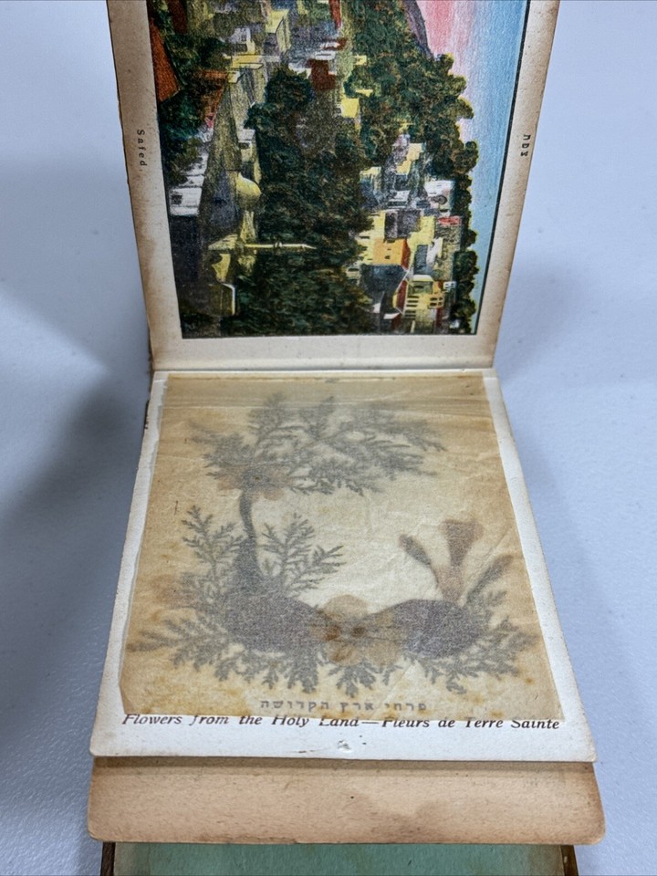 Flowers of the Holy Land Pressed Flower Book - Olive Wood Covers ...