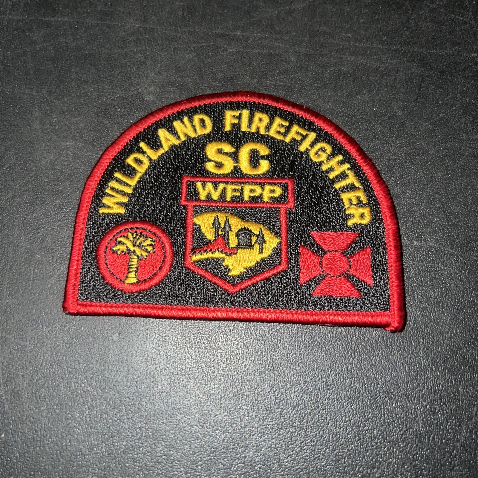 Vintage Obsolete Fire Department Patch South Carolina Wildland ...