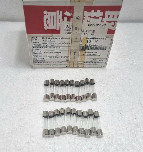 Fuji Terminal FGBO 250V 5A PBF - Glass Tube Series Fuse B - Cartridge ...