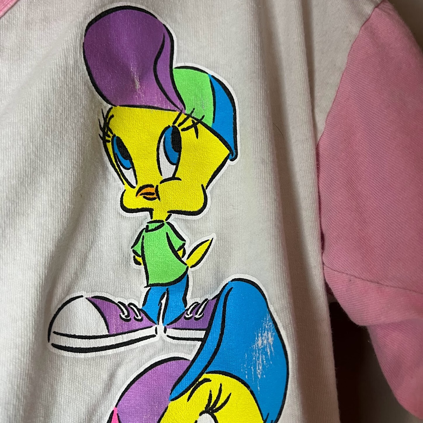VTG 1995 Looney Tunes Daffy Duck Tweety Bird Baseball… - Gem