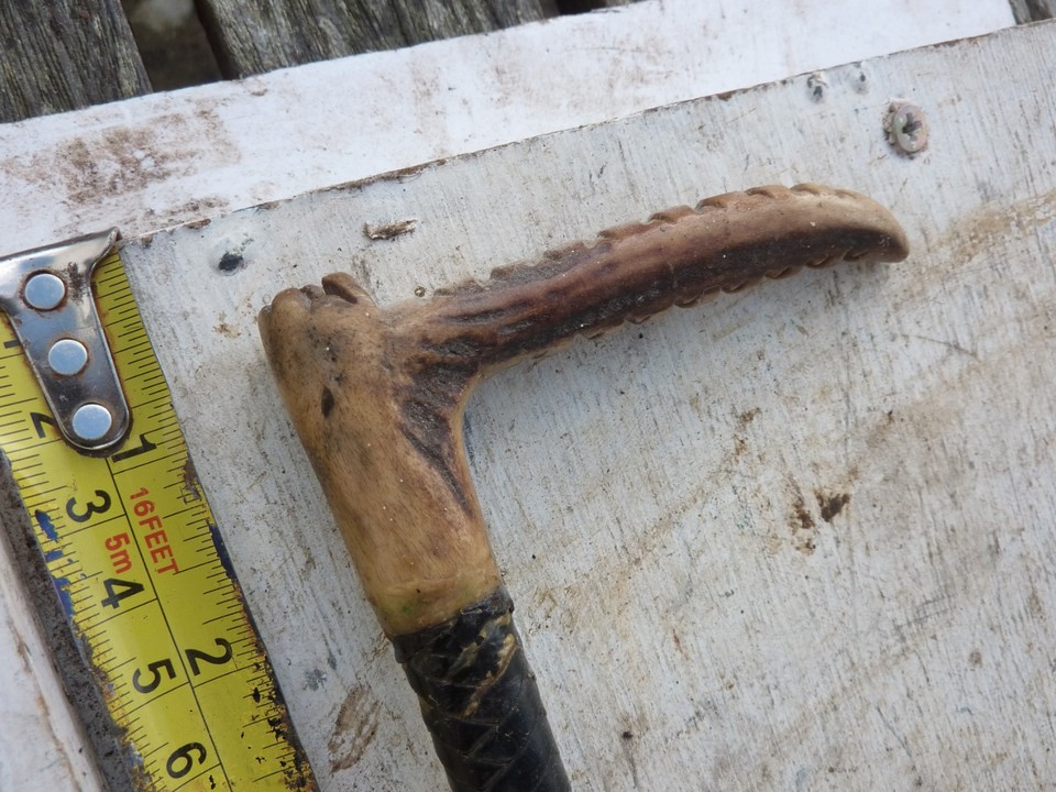 Vintage Antique English Horn Handle Horse Riding Whip Crop | eBay UK