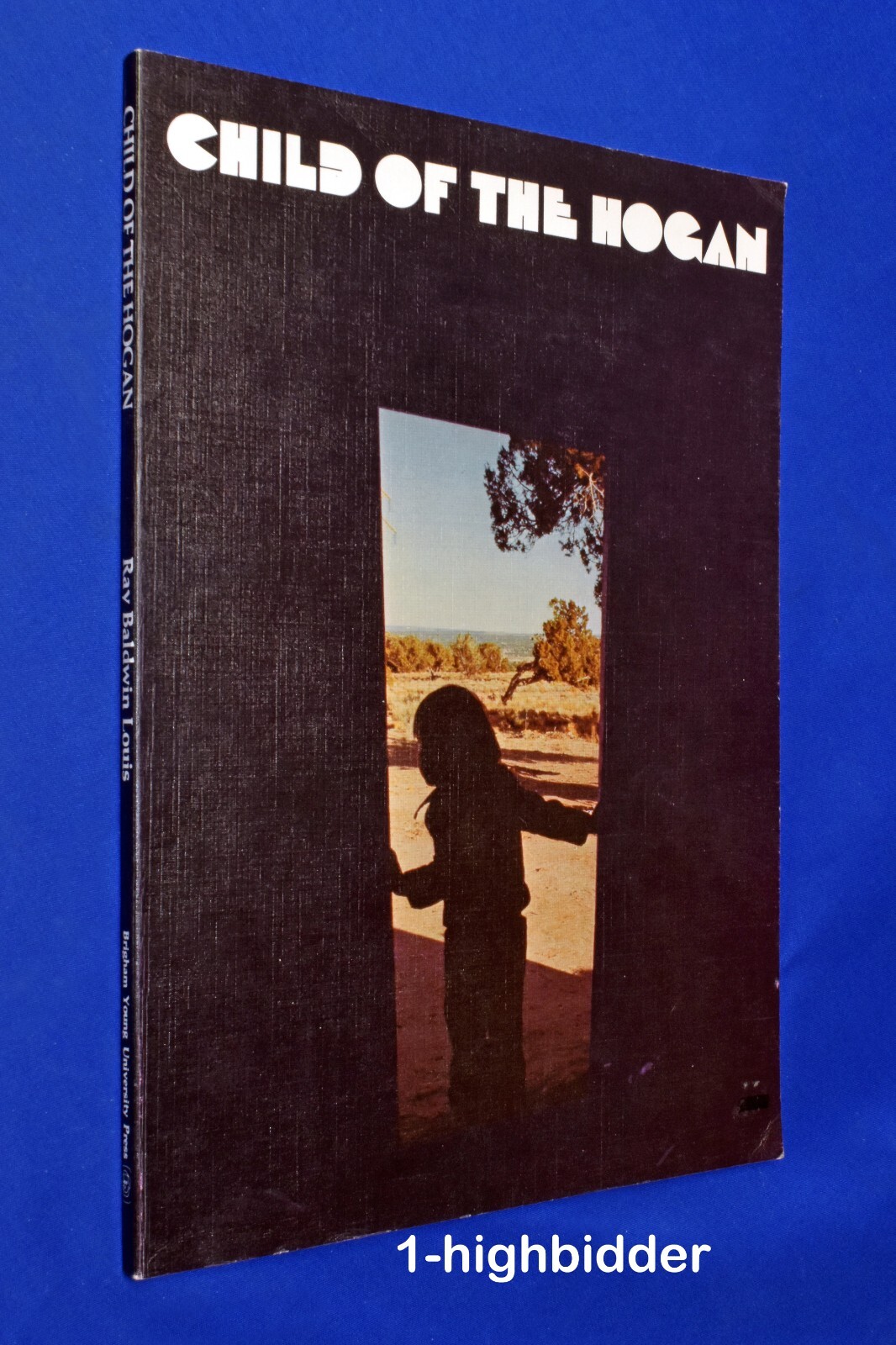 Child of the Hogan Ray Baldwin Lewis American Navajo Indians Saltboy ...