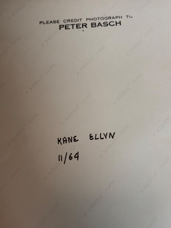 Ellyn Kane Full Figure Nude Model 1960s Contact Sheet Peter Basch ...