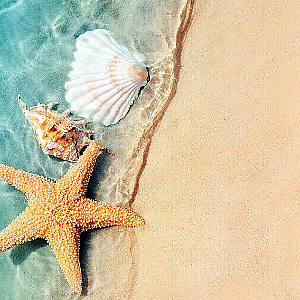 Mon Louis Island Sales | eBay Stores