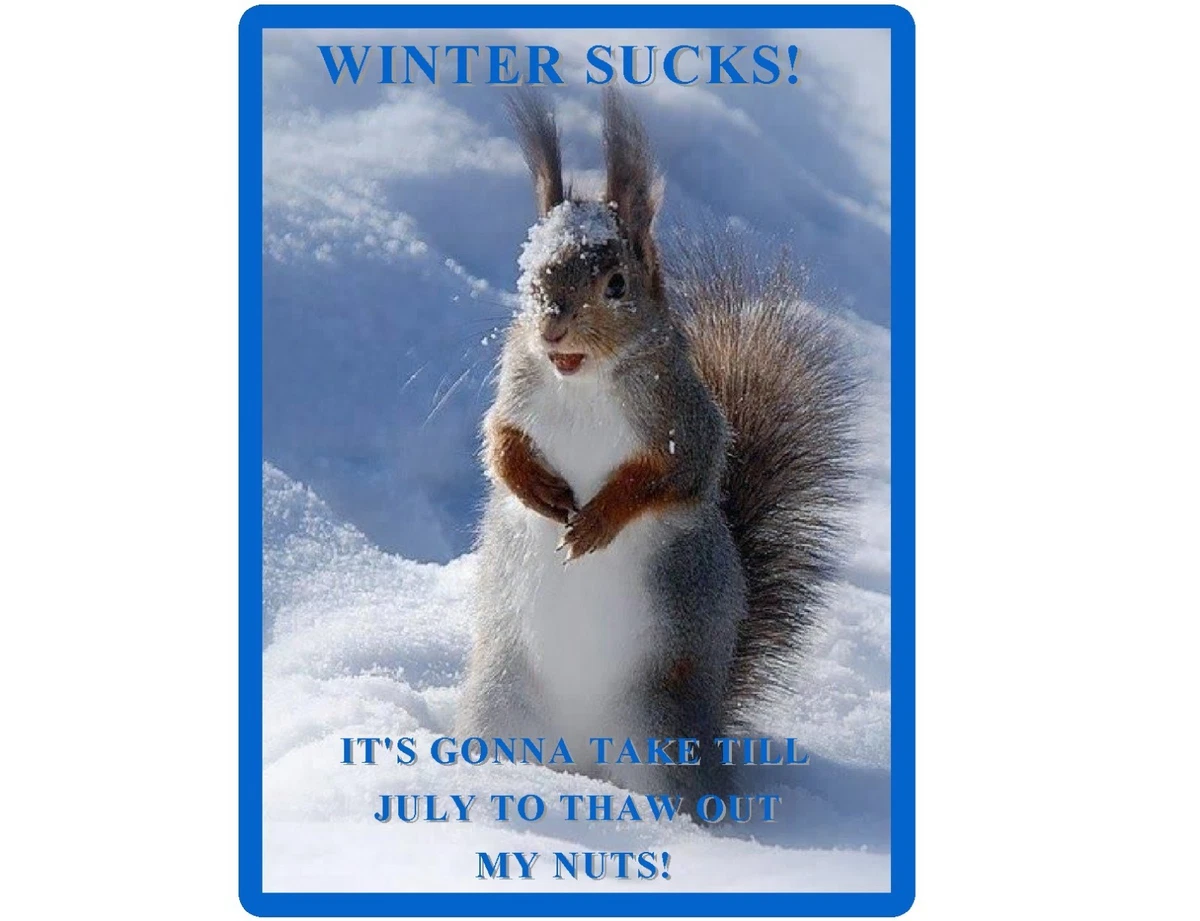 Winter Sucks