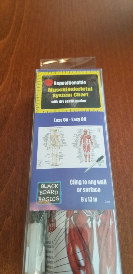 MUSCULOSKELETAL SYSTEM CHART: LAMINATED WALL CHART By BLACK BOARD ...