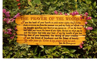 Prayer of the Woods Sign, Bordered with Bougainvillea, FL Postcard | eBay