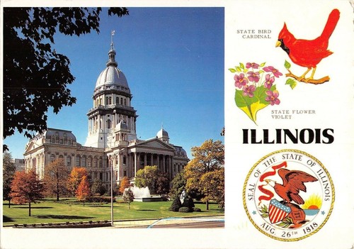 MIN1051 usa springfield illinois capitol building cardinal bird violet ...
