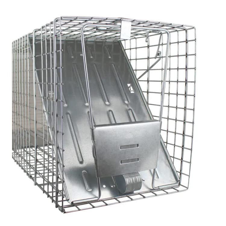 Woodstream Havahart 1079 Raccoon Trap | eBay