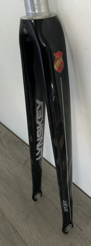 LYNSKEY CARBON FORK 1 1/8 INCH STEERER 548 GRAMS 300 MM LENGTH | eBay