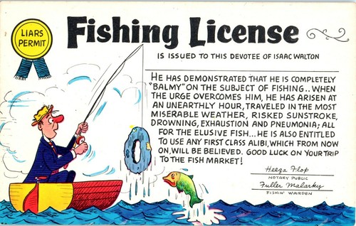 LIARS PERMIT, FISHING LICENSE, FUNNY VINTAGE GAG JOKE POSTCARD | eBay