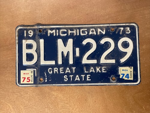 1973 1974 1975 Michigan License Plate # BLM-229 | eBay