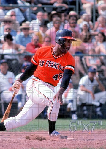 Terry Whitfield - 1980 San Francisco Giants - choose a size - full ...