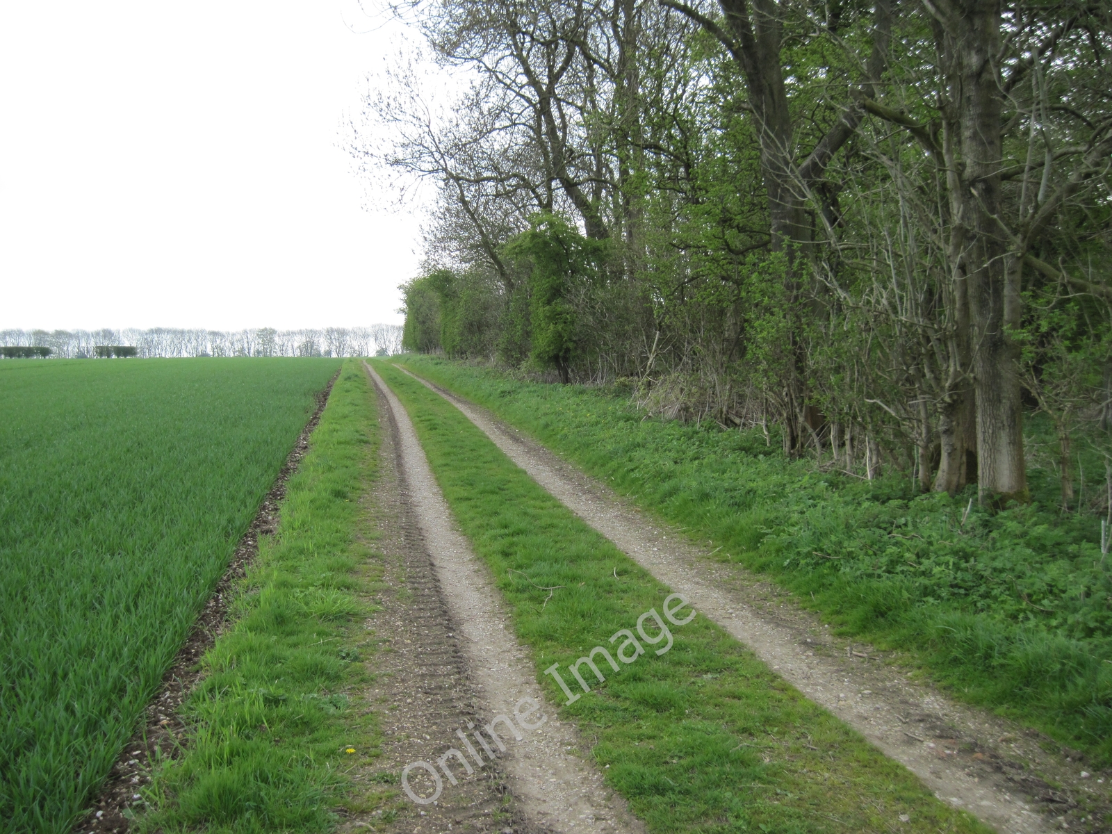 Photo 12x8 Track to Top Barn. Sledmere Estate Kirby Grindalythe On th ...