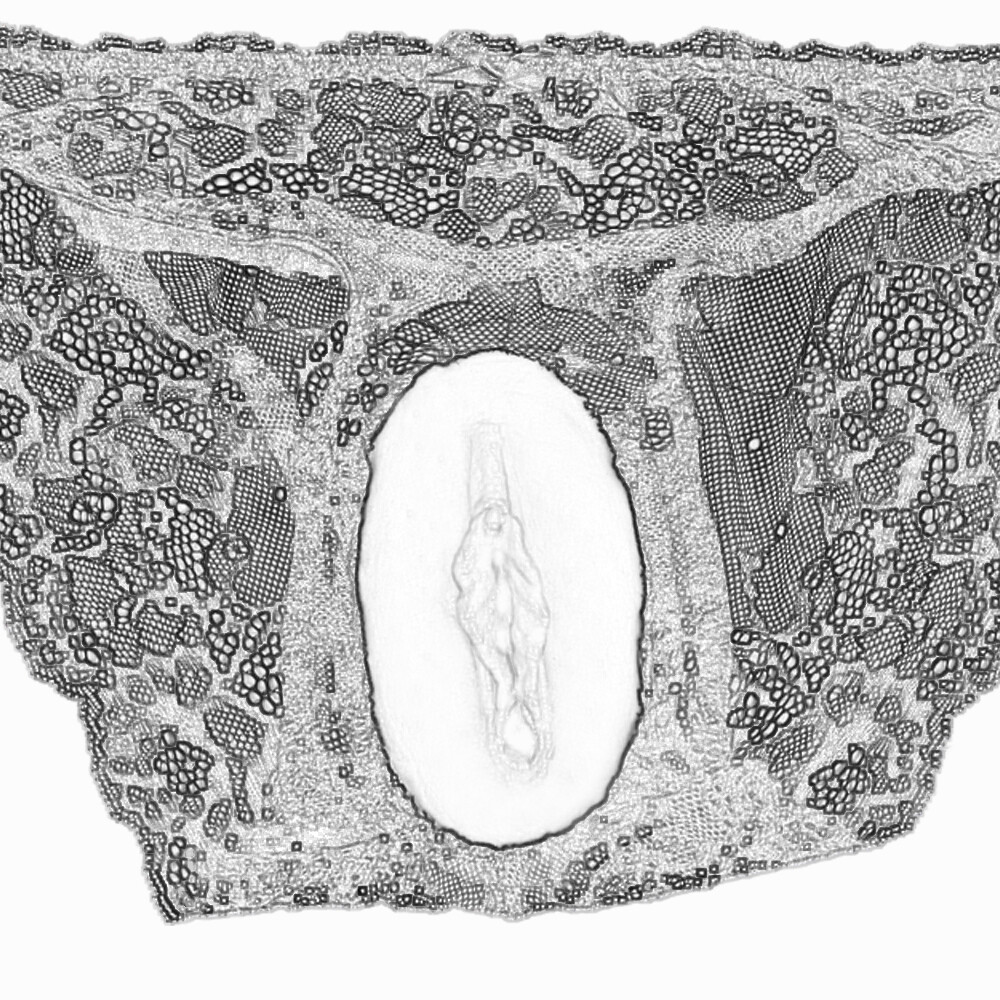 Silicone Fake Vagina with Lace Panties Hiding Gaff Pads Transgender ...