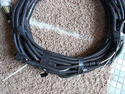 NEW Wiring Harness 365B-145 *FREE SHIPPING* | eBay