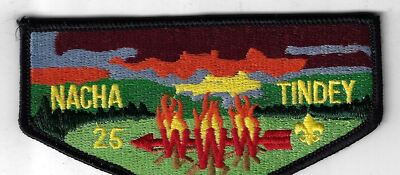 OA 25 Nacha Tindey S13a WWW Flap BLK Bdr. Gerald R. Ford MI | eBay