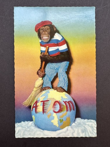 Chimpanzee Real Monkey Stands On Earth “ATOM” Written On It Chrome ...