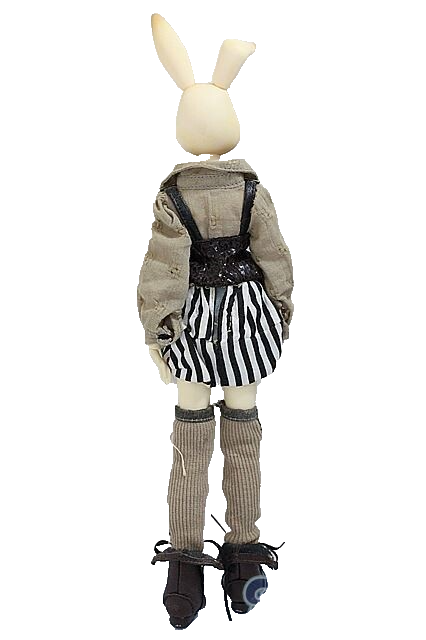 Groove Sasha Rabbit BJD J-doll 27㎝ RARE Discontinued Body & Outfit / NO ...