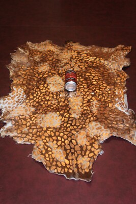 Billy Goat Taxidermy Pelt Fur Leather Rug Hide Wall Hanging Log Cabin ...