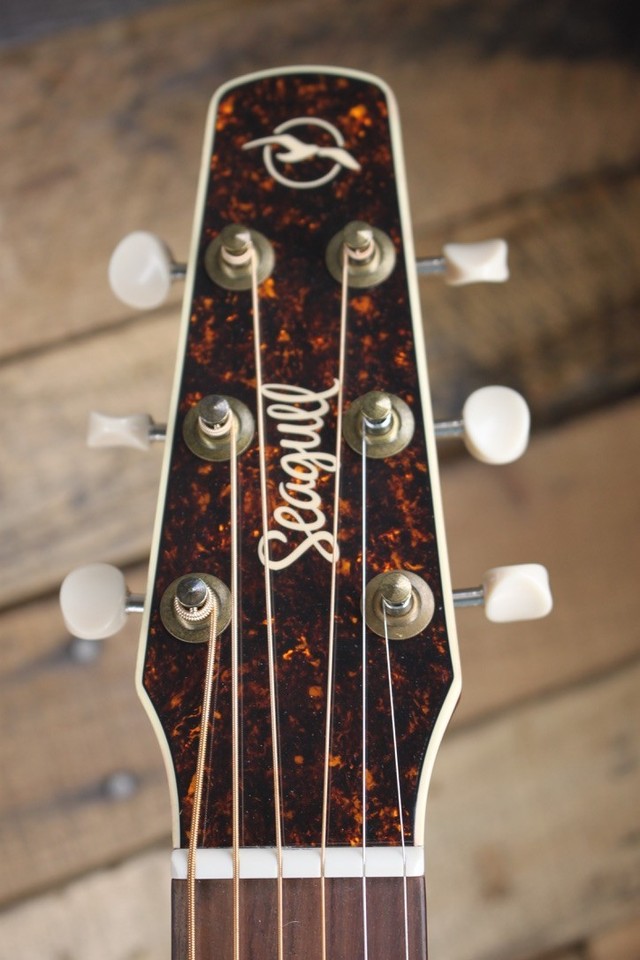 Finish Cracks* Seagull M6 LTD Ed Ruby Red CH EQ Acoustic Electric ...