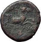 KYME in Aeolis 250BC Authentic Ancient Greek Coin AMAZON w HORSE & VASE ...