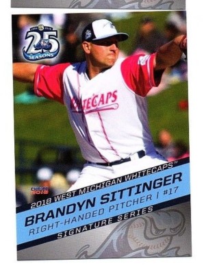 Brandyn Sittinger 2018 West Michigan Whitecaps team set card Ashland ...