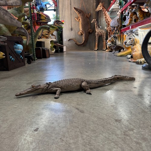 Crocodile Croc Resting Small Resin Statue Reptile Amphibian Display ...